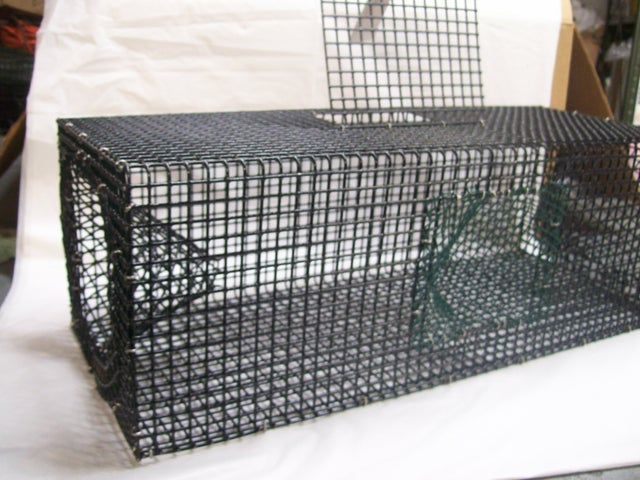 E-Z Catch